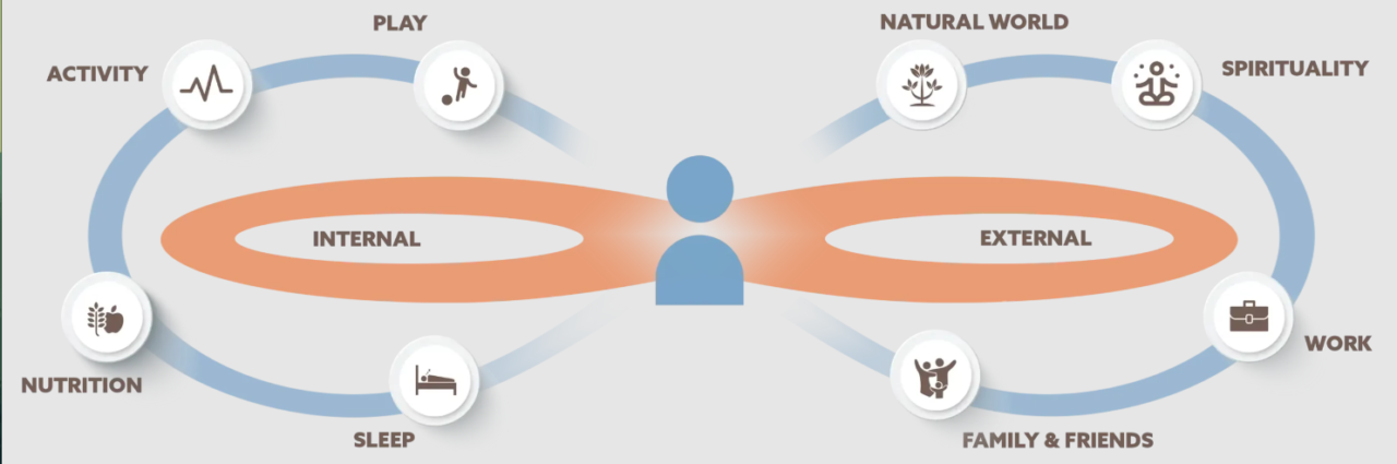 Day 20 - Mindset - Dr. Matthew Lederman - Defeat Depression With Diet